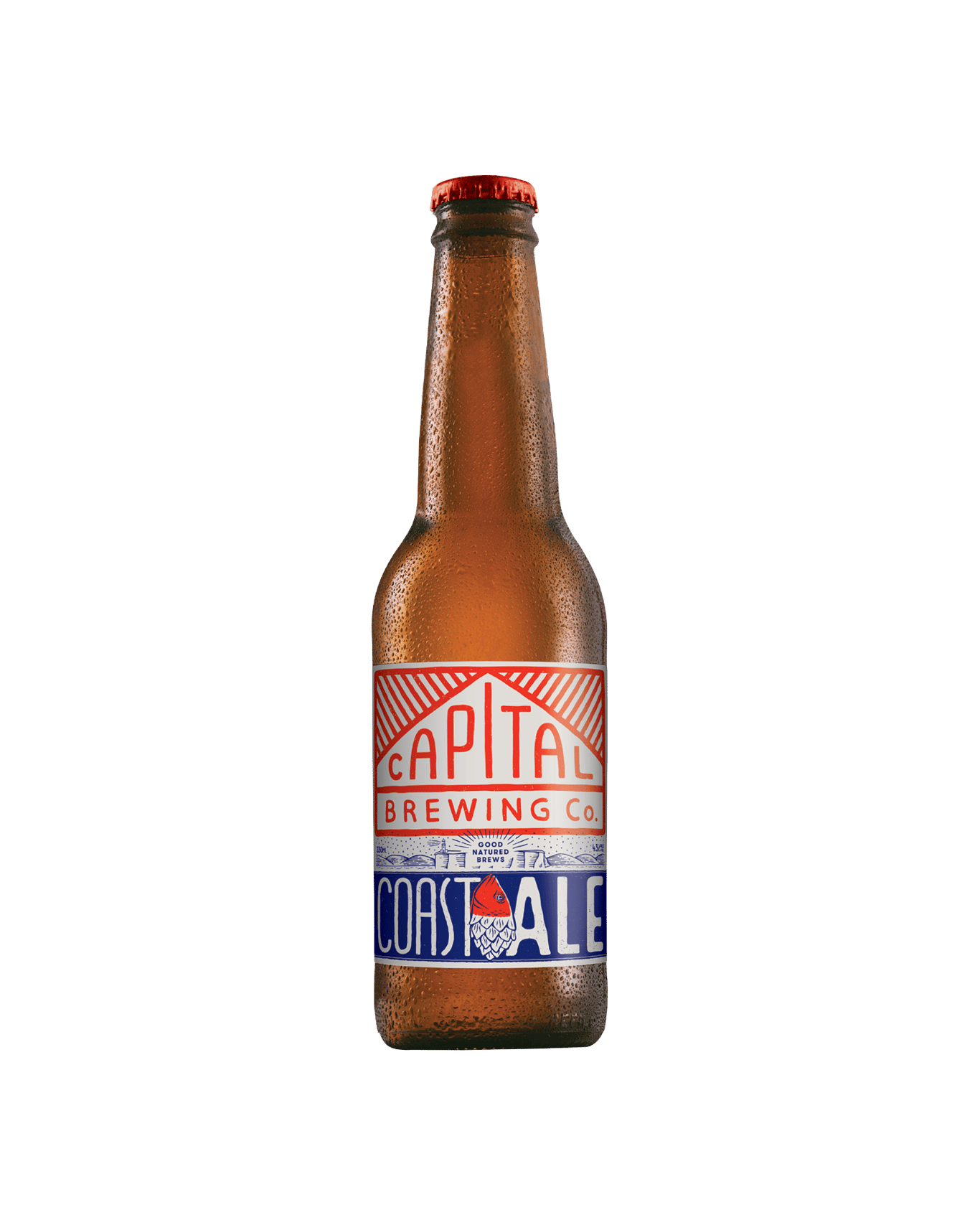 Buy Capital Brewing Co. Coast Ale 330ml Online @Lowest Price
