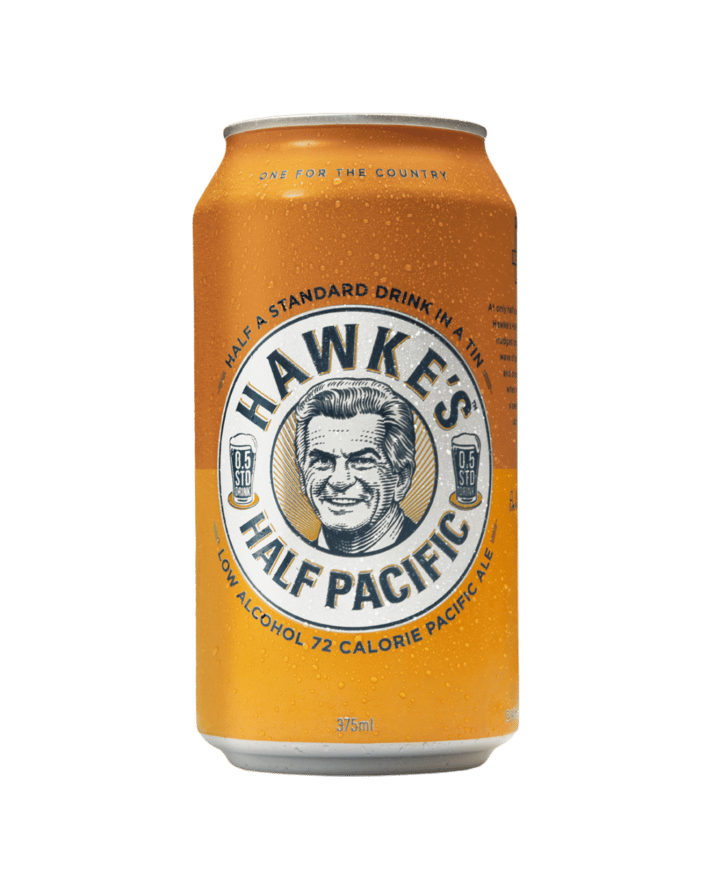 Buy Hawke's Brewing Co. Half Pacific Ale Cans 375ml Online @Lowest Price