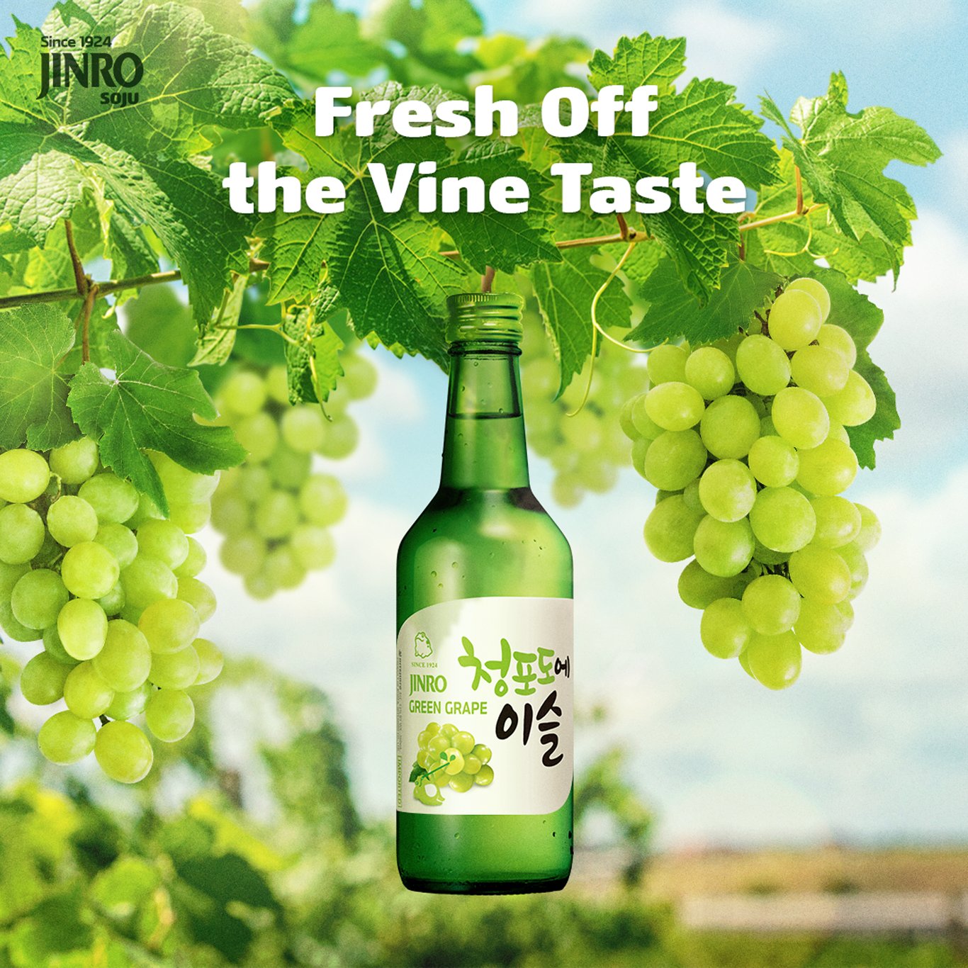 Buy Hitejinro Green Grape Soju 360ml Online (Low Prices) from Dan Murphy's