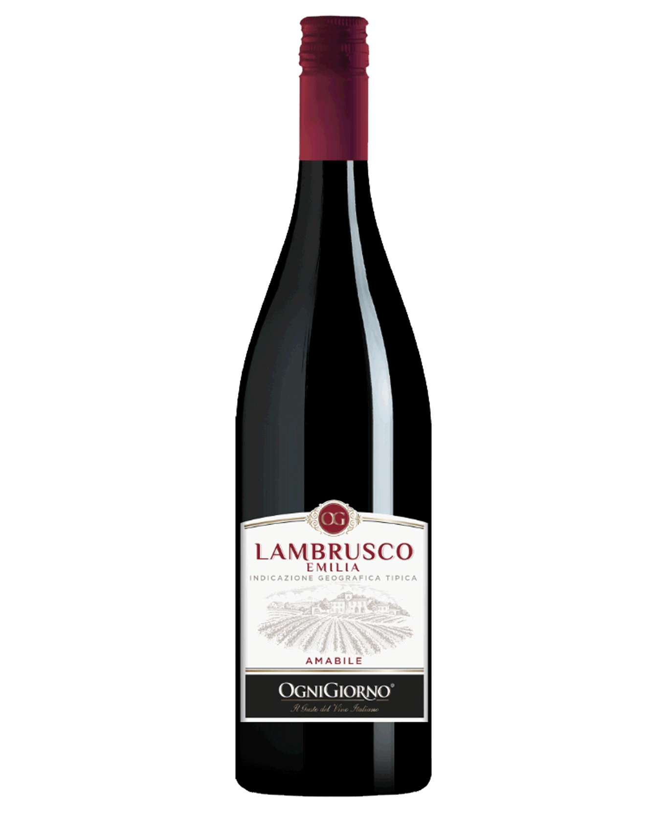 5 Best Lambrusco Wines to Drink | Buy Lambrusco Wine Online (with Top ...