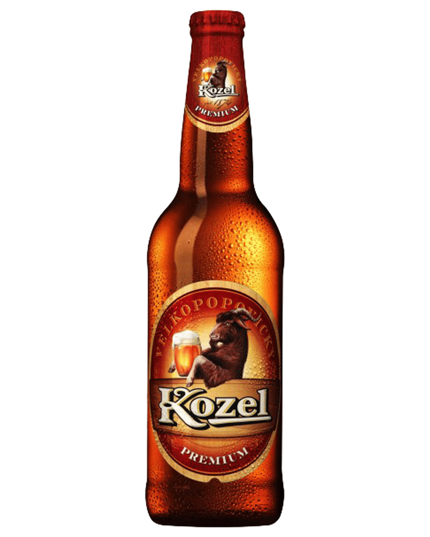 Buy Kozel Premium Beer 500ml Online @Lowest Price