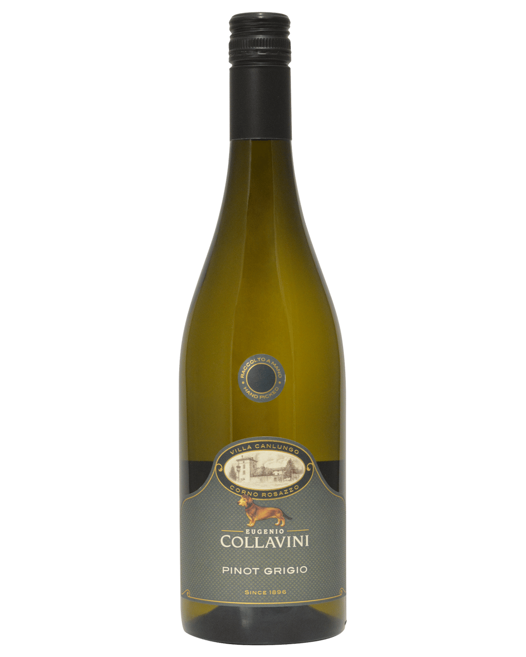 Buy Eugenio Collavini The Villa Canlungo Pinot Grigio Online (Low ...