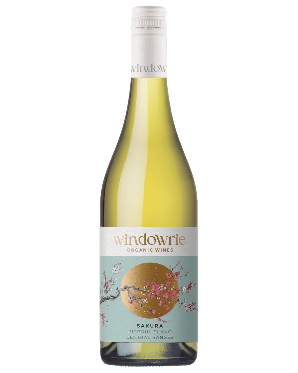 Buy Windowrie Sakura Organic Picpoul Blanc Online @Lowest Price