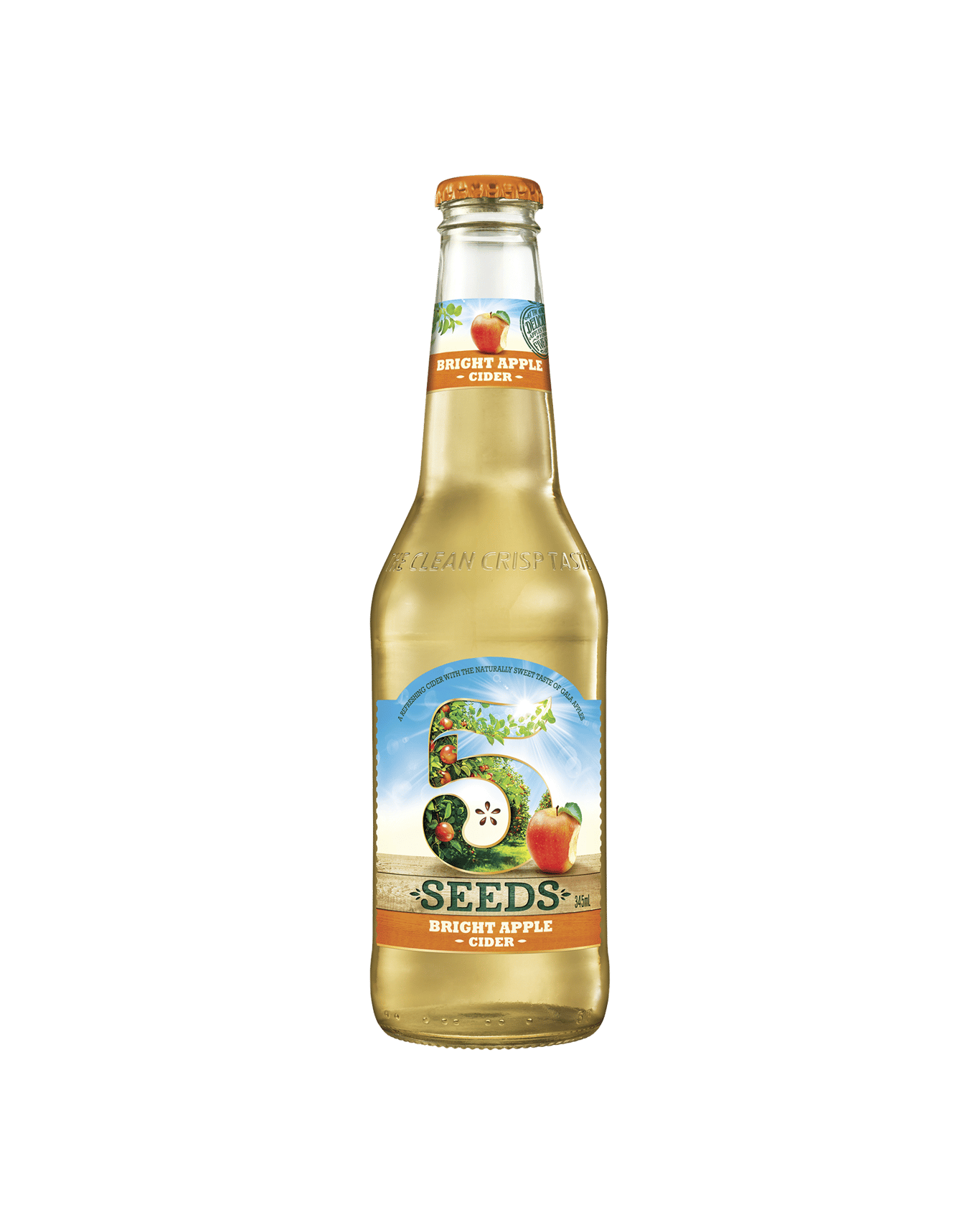 Buy 5 Seeds Bright Apple Cider 345ml Online @Lowest Price