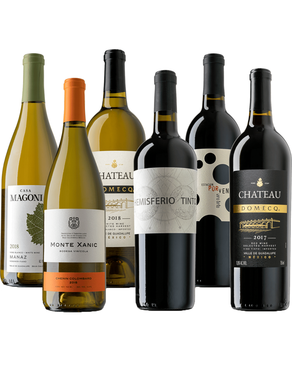 Buy Mexican Wine Six Pack Six Pack Mix, 3 White & 3 Red Online @Lowest ...